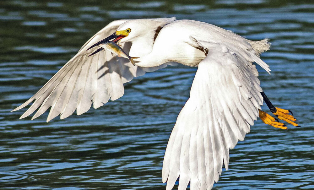 Trinity Park Conservancy - Matchbox Studio