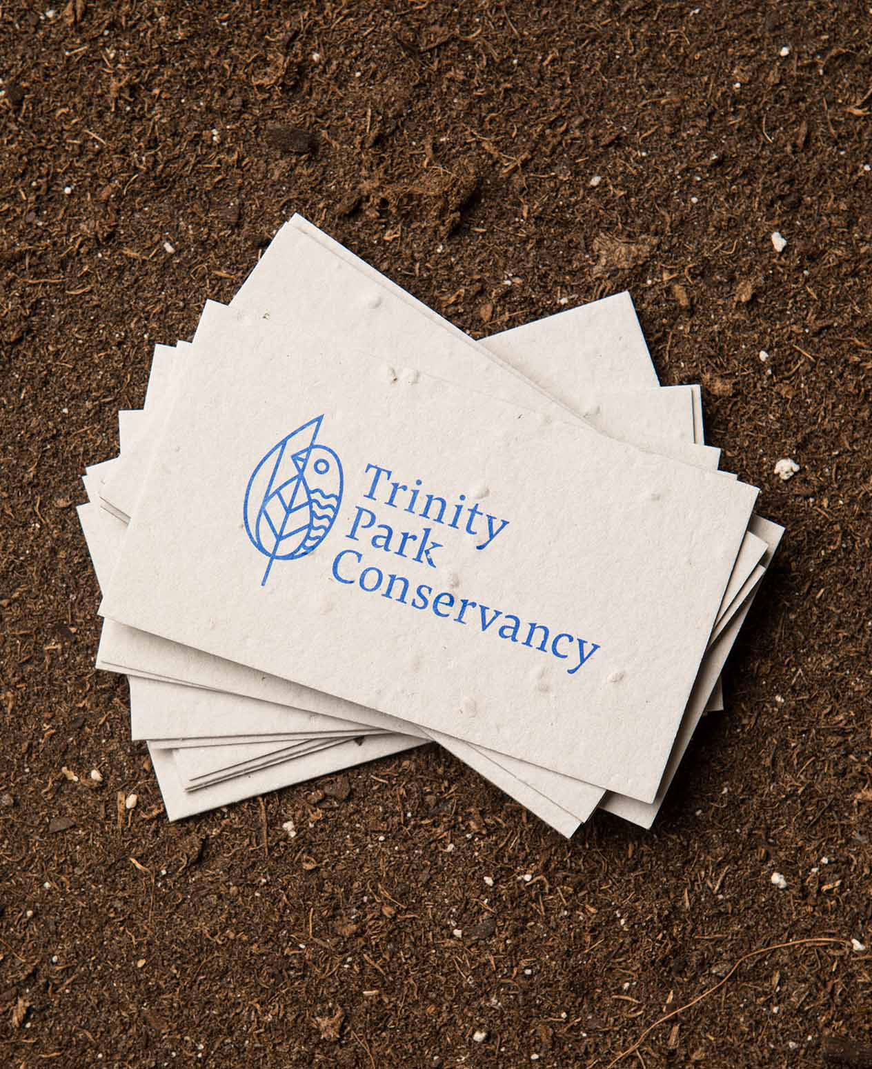 Trinity Park Conservancy - Matchbox Studio