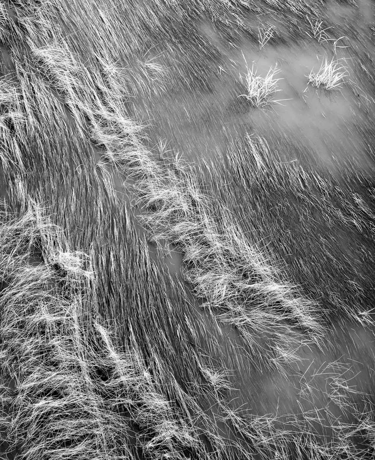 Trinity Park Conservancy - Matchbox Studio