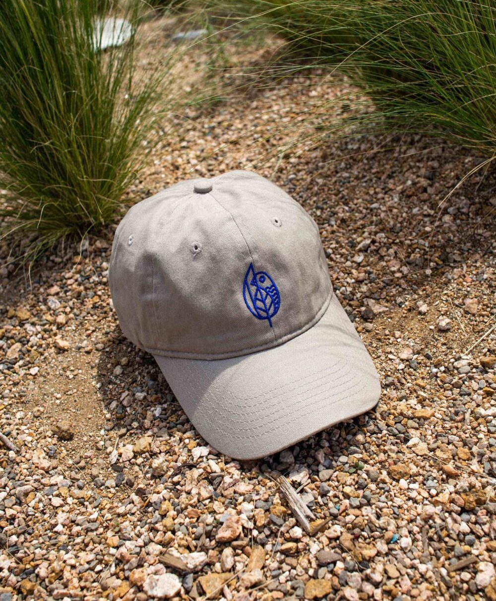 Trinity Park Conservancy - Matchbox Studio