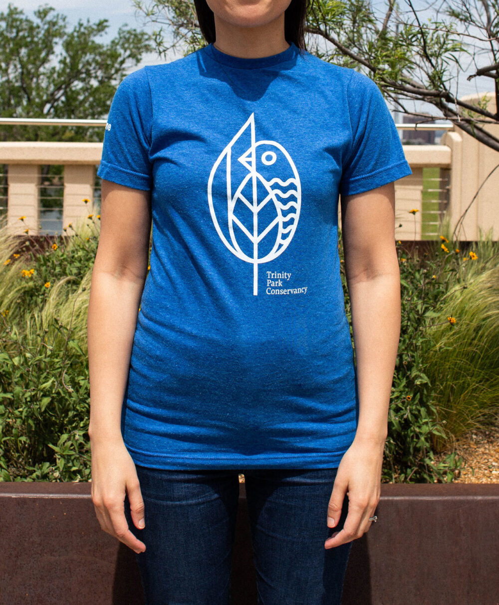 Trinity Park Conservancy - Matchbox Studio