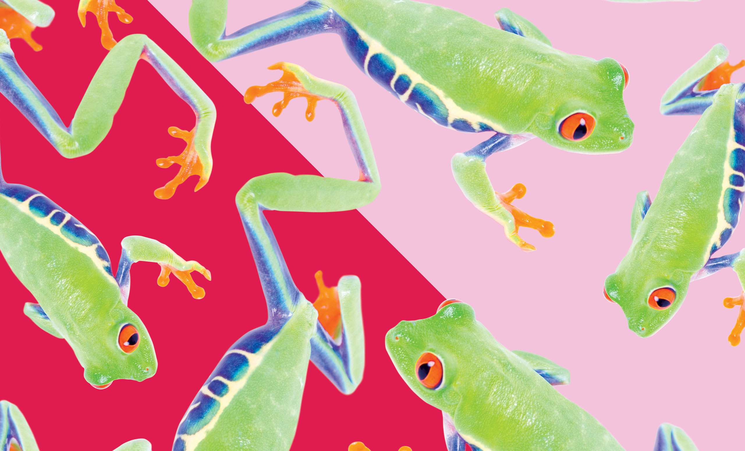 FedEx Presidents Club - Matchbox Studio