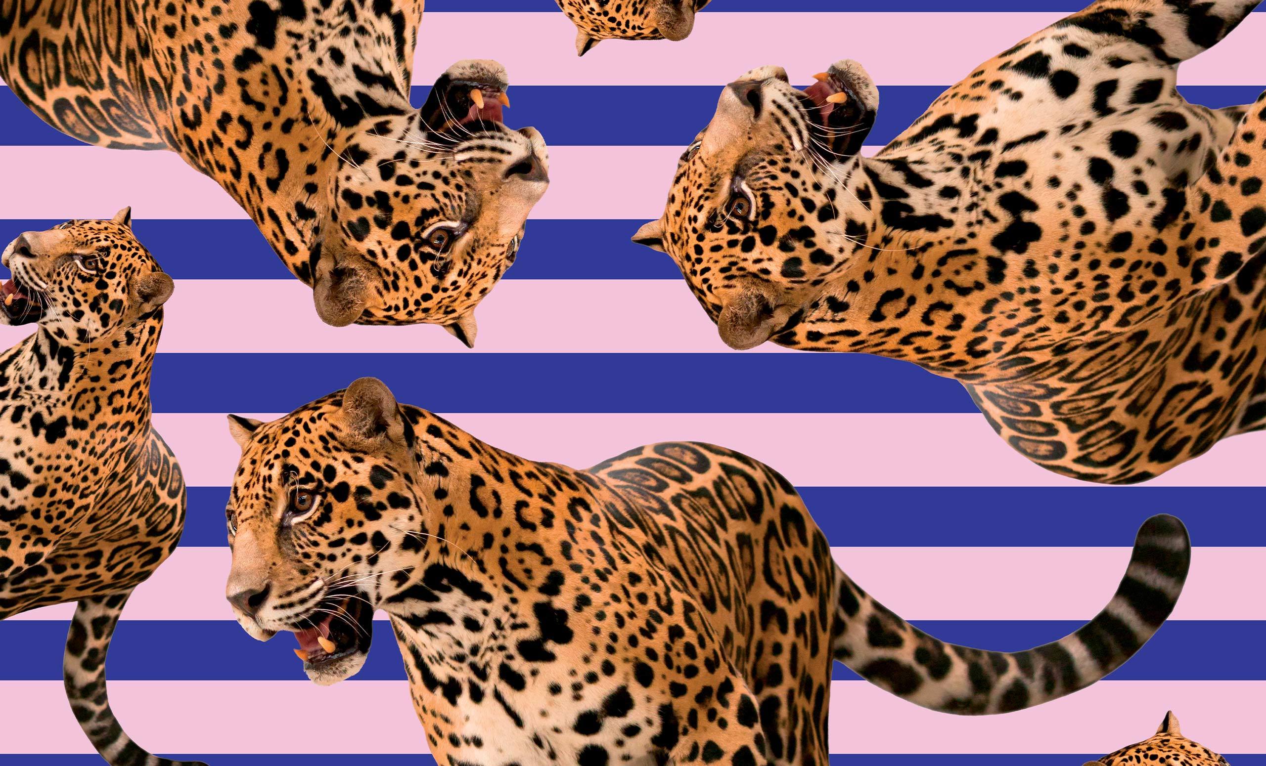 Creative Branding Agency for Bold Global Brands