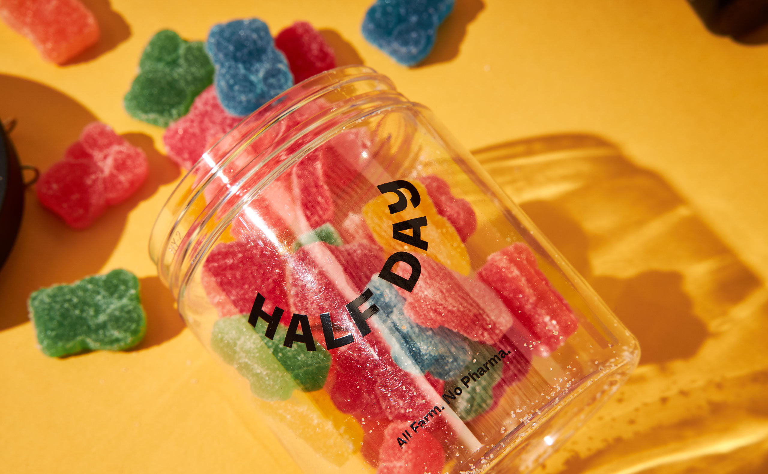 Half Day CBD - Matchbox Studio