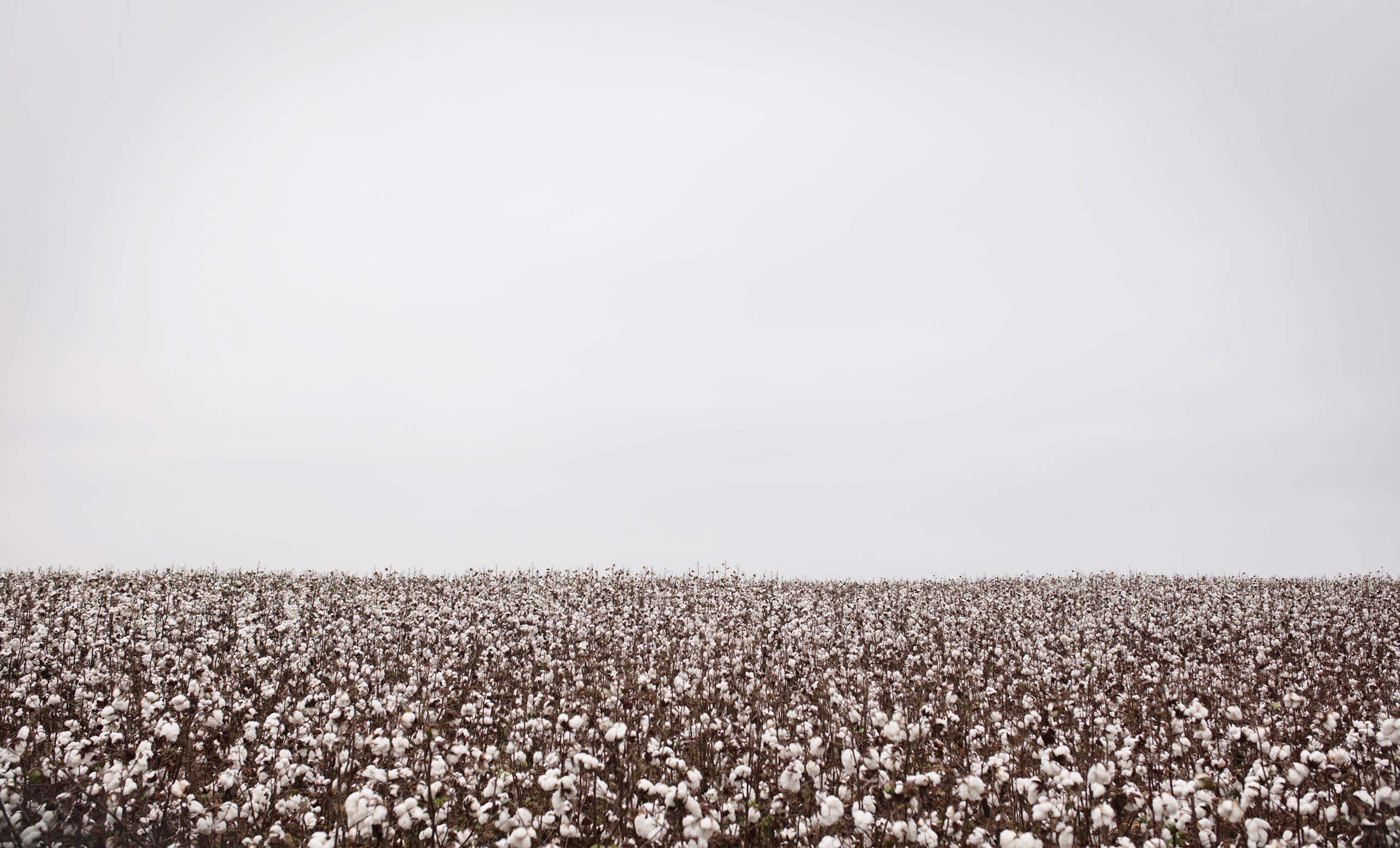 Patsy - Matchbox Studio